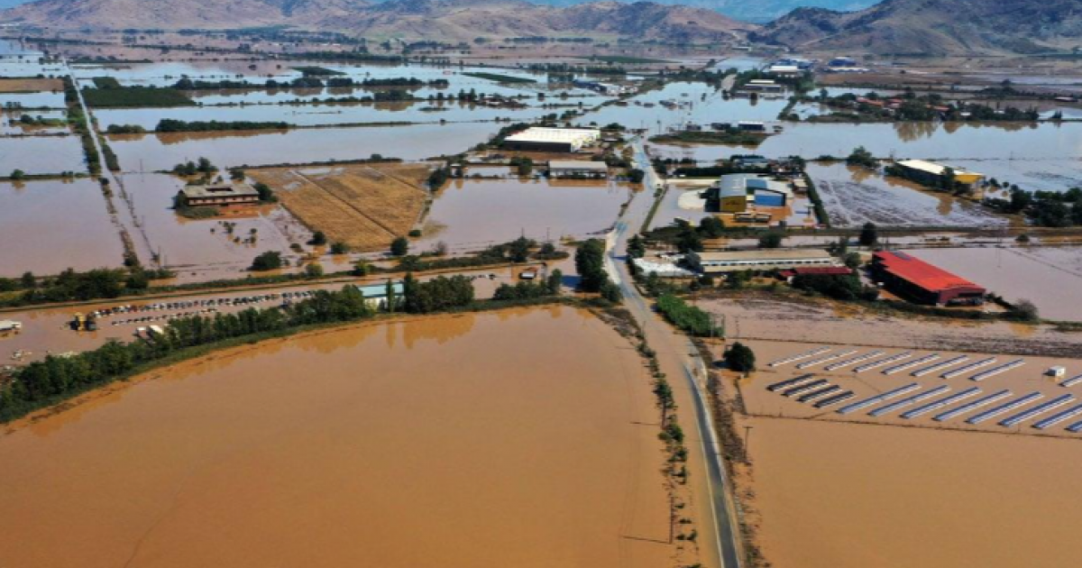 Συναγερμός στη Θεσσαλία: Το 61% των κουνουπιών είναι «διαβιβαστές» του ιού Δυτικού Νείλου | Alfavita